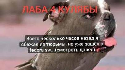 Защита лабораторной работы 4