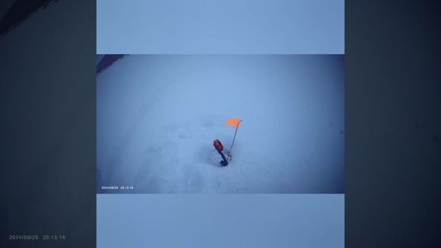 Сегодня порыбачил на любимом водоеме👍 Рыбалка на жерлицы🎣 Удалось поймать щучек в плохой клев.