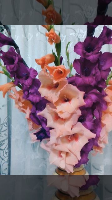 2 Поздравление с 8 марта 2025