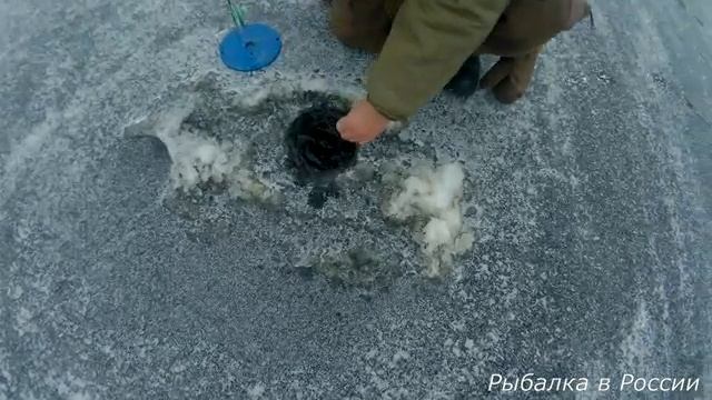 Первый лёд 2020 . Ловля щуки на жерлицы.  Окунь на балансир.
