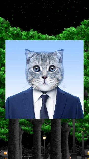 Кот - от канала в мессенджере со смешными картинками.