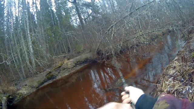 Ловля форели.  Ручьевая форель.  Малые реки