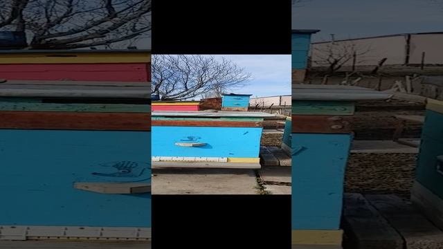 Краткий обзор второго дня полного осмотра.