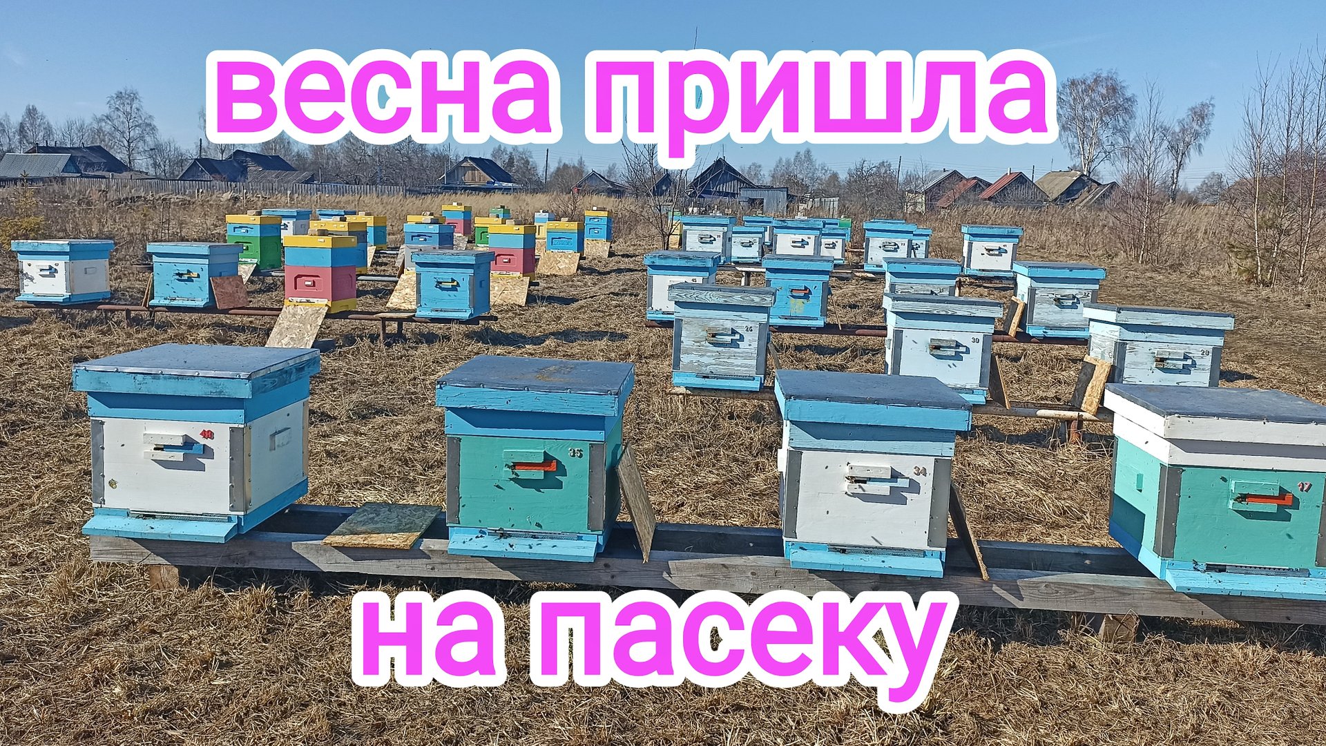 Зимовка пчёл на трёх рамках на улице. Пчеловодство!