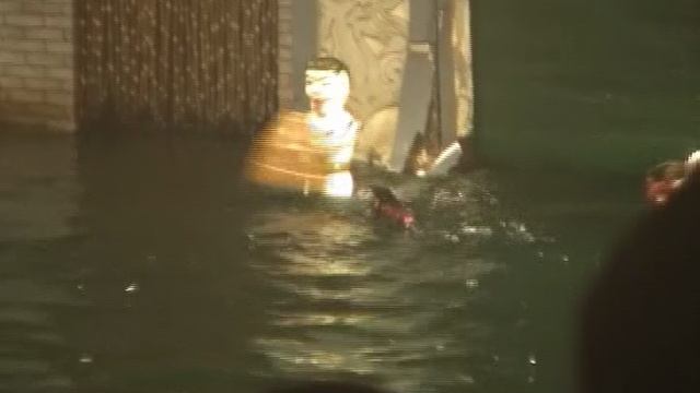 2012 г. Puppit Show