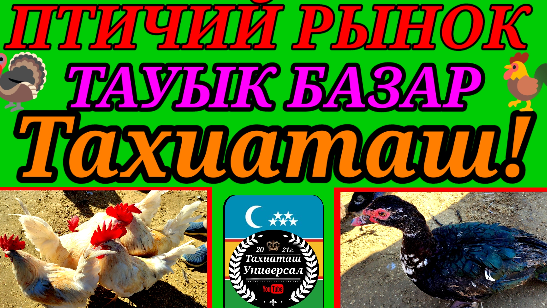 10-03-2025 ПТИЧИЙ РЫНОК 🐓 РЫНОК РЫБ 🐠