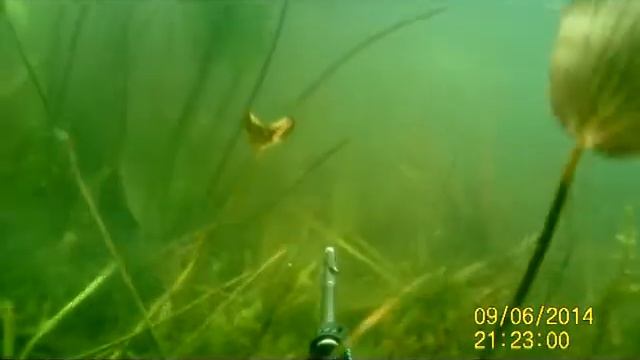 Леший На Секретном Озере