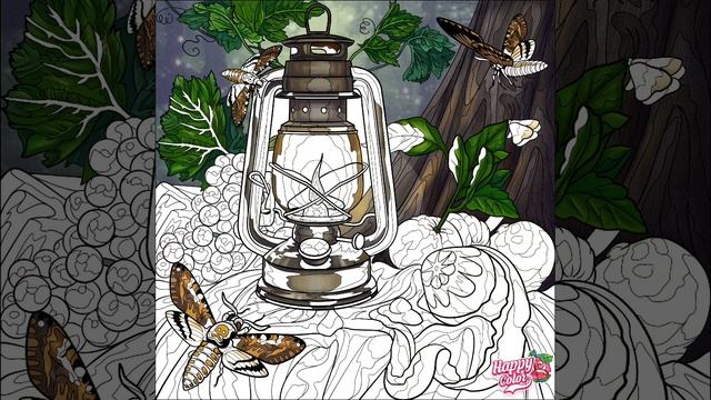 Бабочки 471-480