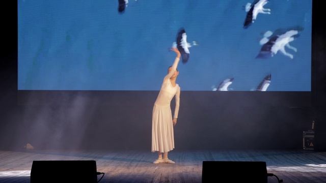 АЛАРКОН Журавли