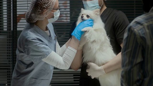 🐾 Какие клиники предлагают стационар для питомцев?