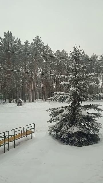 красота в глазах смотрящего (но это зима!)