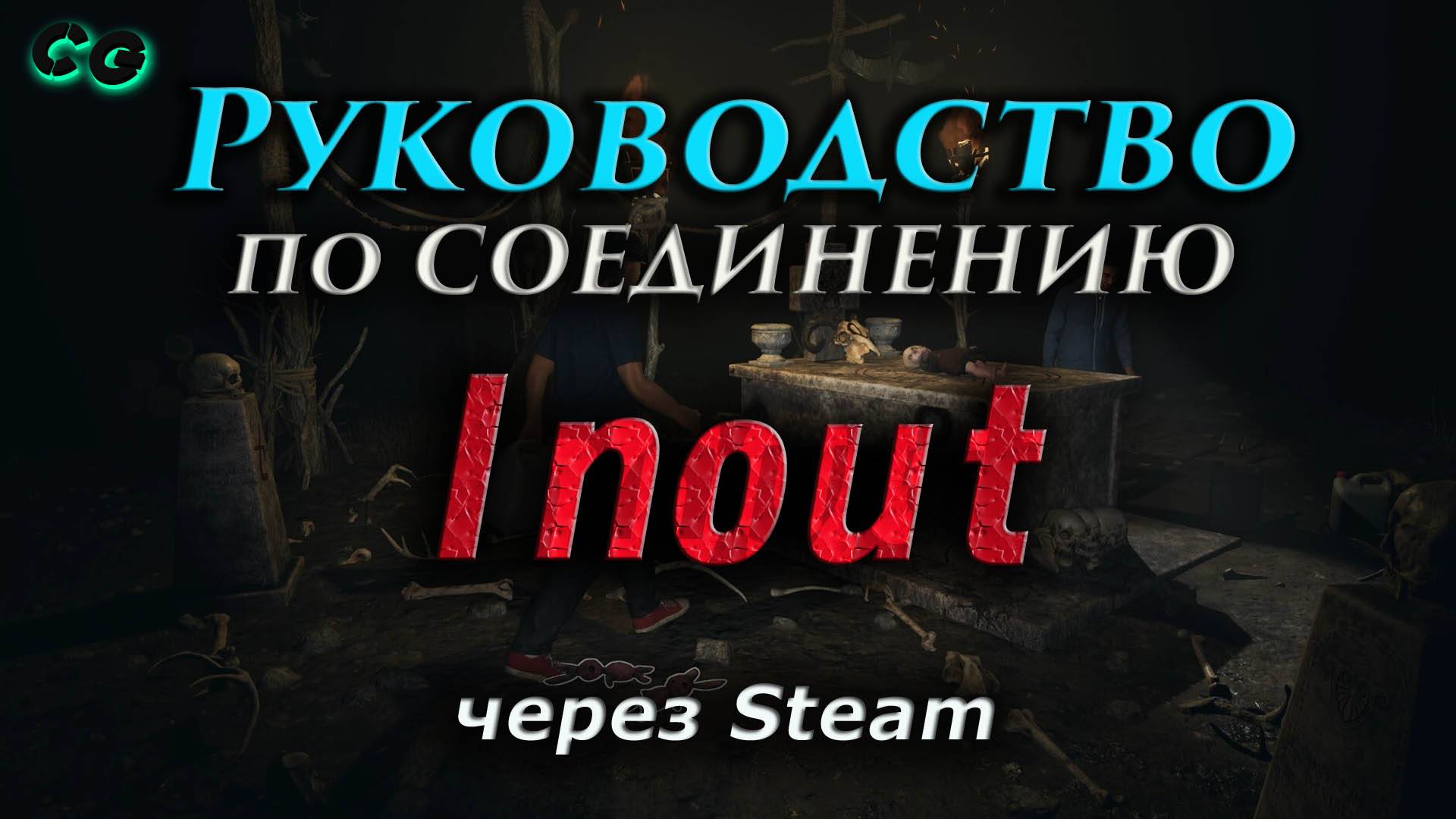 Руководство по соединению #159 Inout через Steam