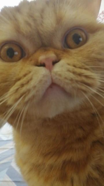 Милашка вгляд