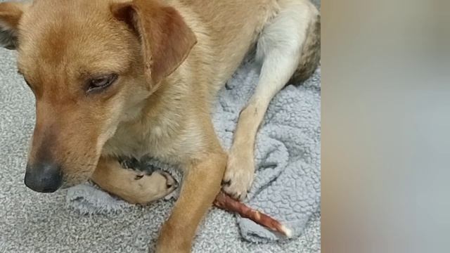 История Степана.