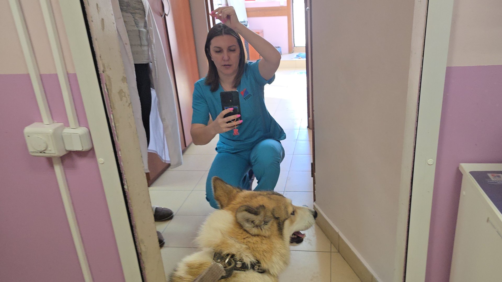 Теперь лайки живут официально