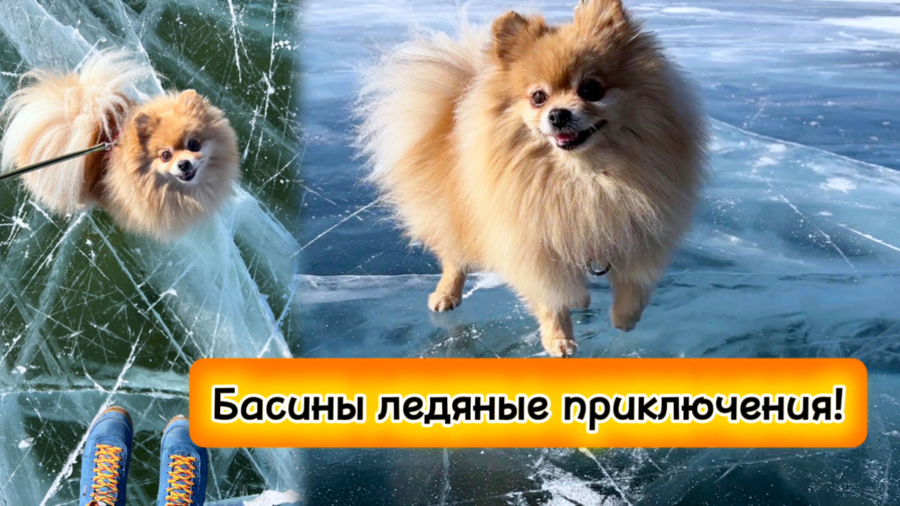 Басины ледяные приключения!