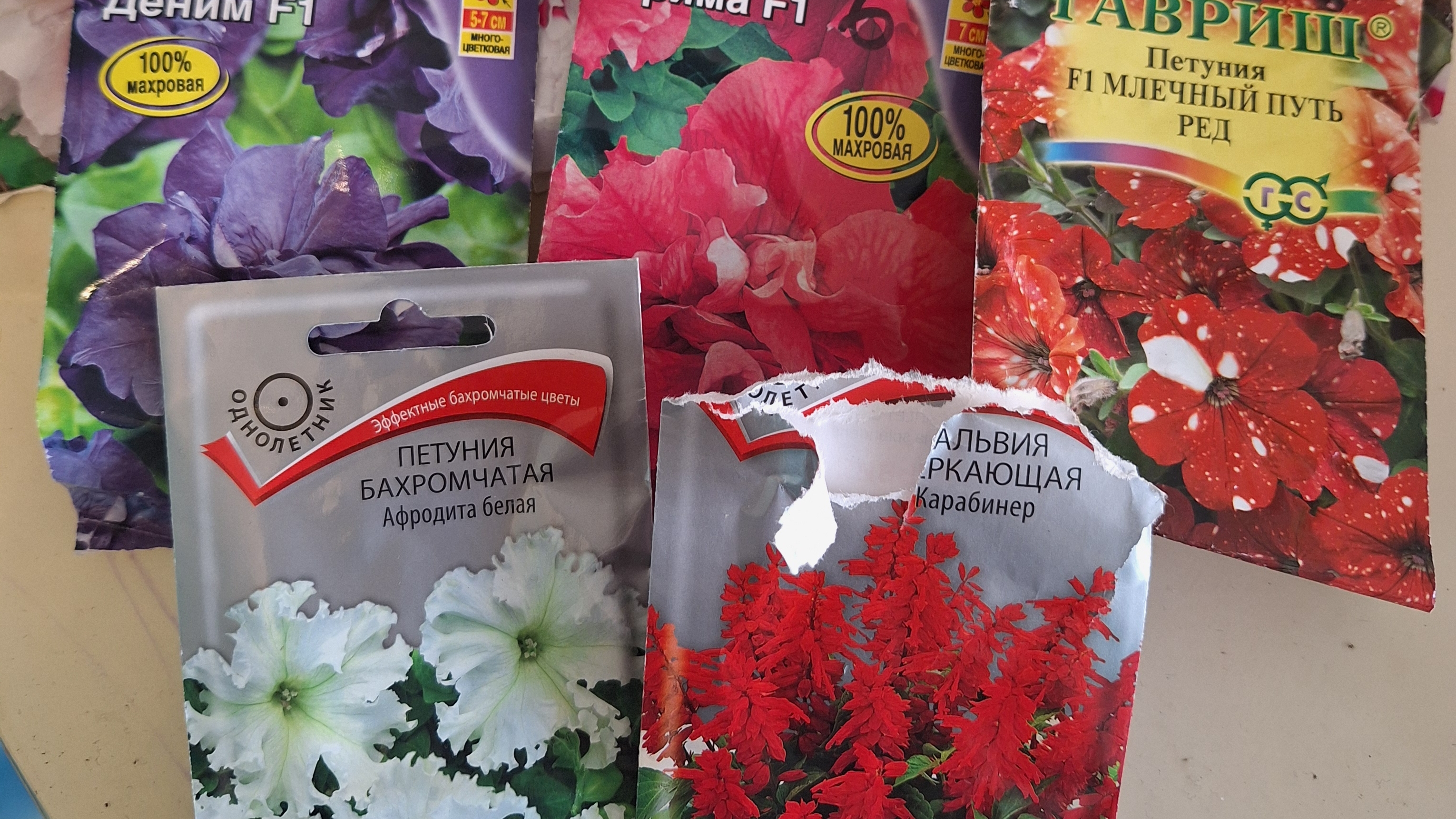 8 марта а я сажаю цветы, петунью и сальвию