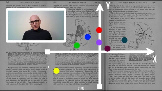 "Стабилометрия за 2 минуты". Выпуск 8: Площадь статокинезиограммы / 12.12.2020