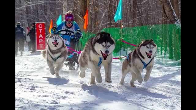 Легенда Амура. Часть 4.