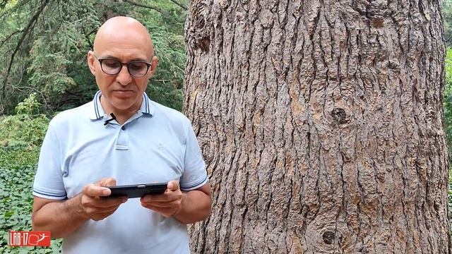 Что такое «критичность мышления» и как получают доказательства при проведении исследований