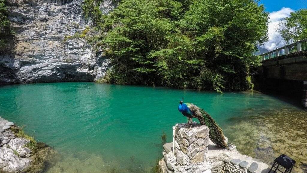 Экскурсия в Абхазию ( 2 часть)