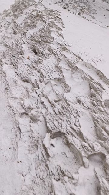 Красивое в некрасивом (09.03.2025)