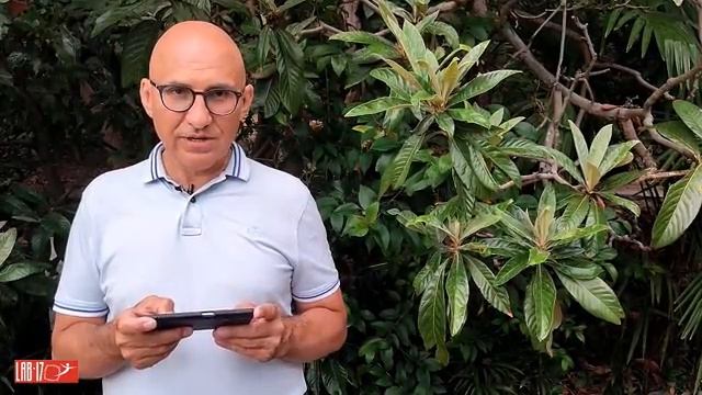 Что общего между подготовкой диссертации и желанием научиться мыслить «системно» и «креативно»?