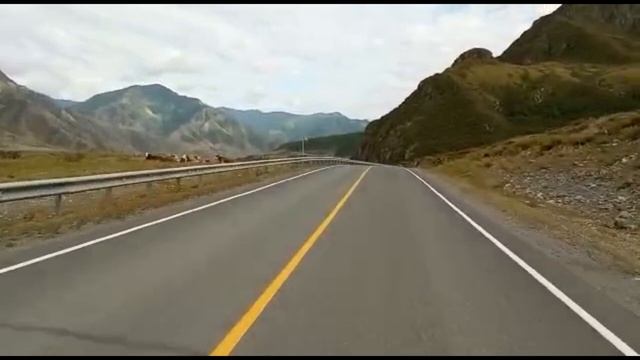 ностальгия по мотосезону.