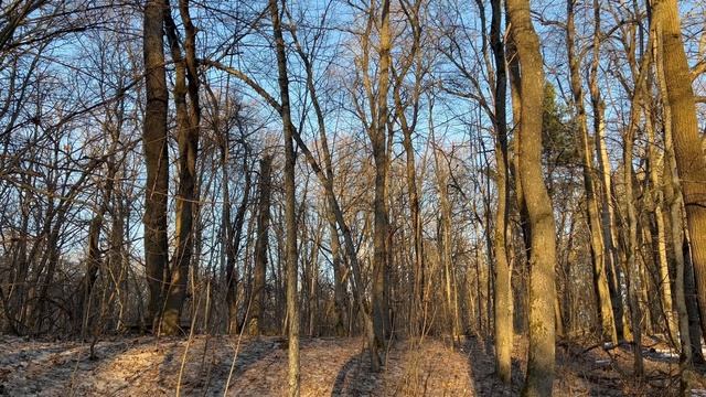 Ранняя весна