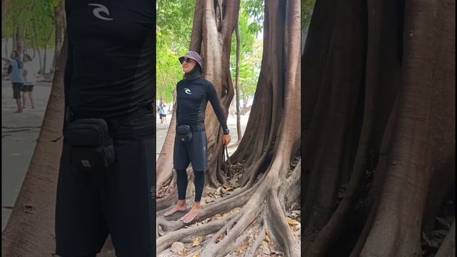 Шагающее дерево и летоисчисление в Тайланде