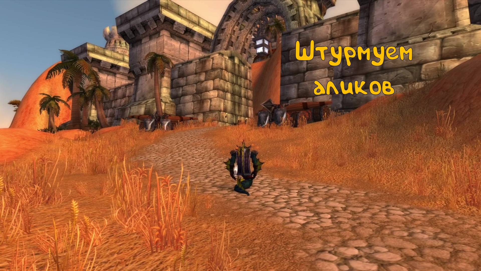 Взяли штурмом крепость: World of Warcraft! История Ваашгара - 2.11