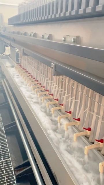 sewage treatment filter press