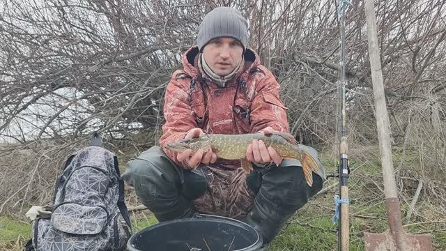 ОТЛИЧНАЯ РЫБАЛКА В ФЕВРАЛЕ ПО ХИЩНИКУ 2025))ЩУКА, ОКУНИ НЕ АКТИВНЫ, НО ВСЁ ЖЕ НАЛОВИЛ НА УХУ))
