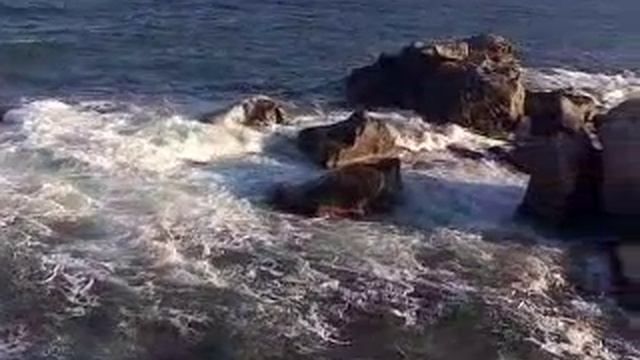 Камни в Алупке. 2011 г.