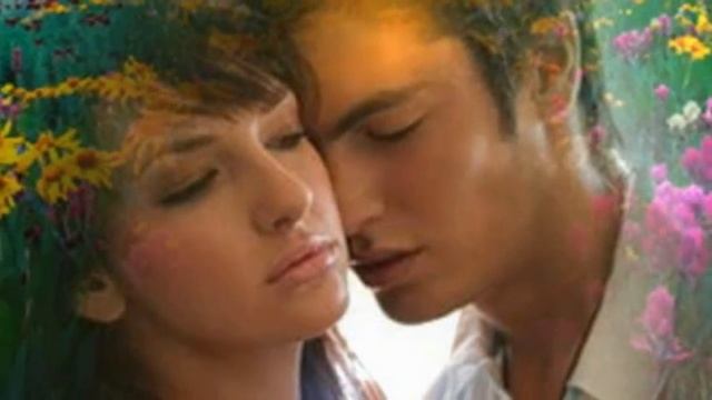 Полевые цветы Любовь Шепилова Сергей Славянский Автор видео Нина Рудакова