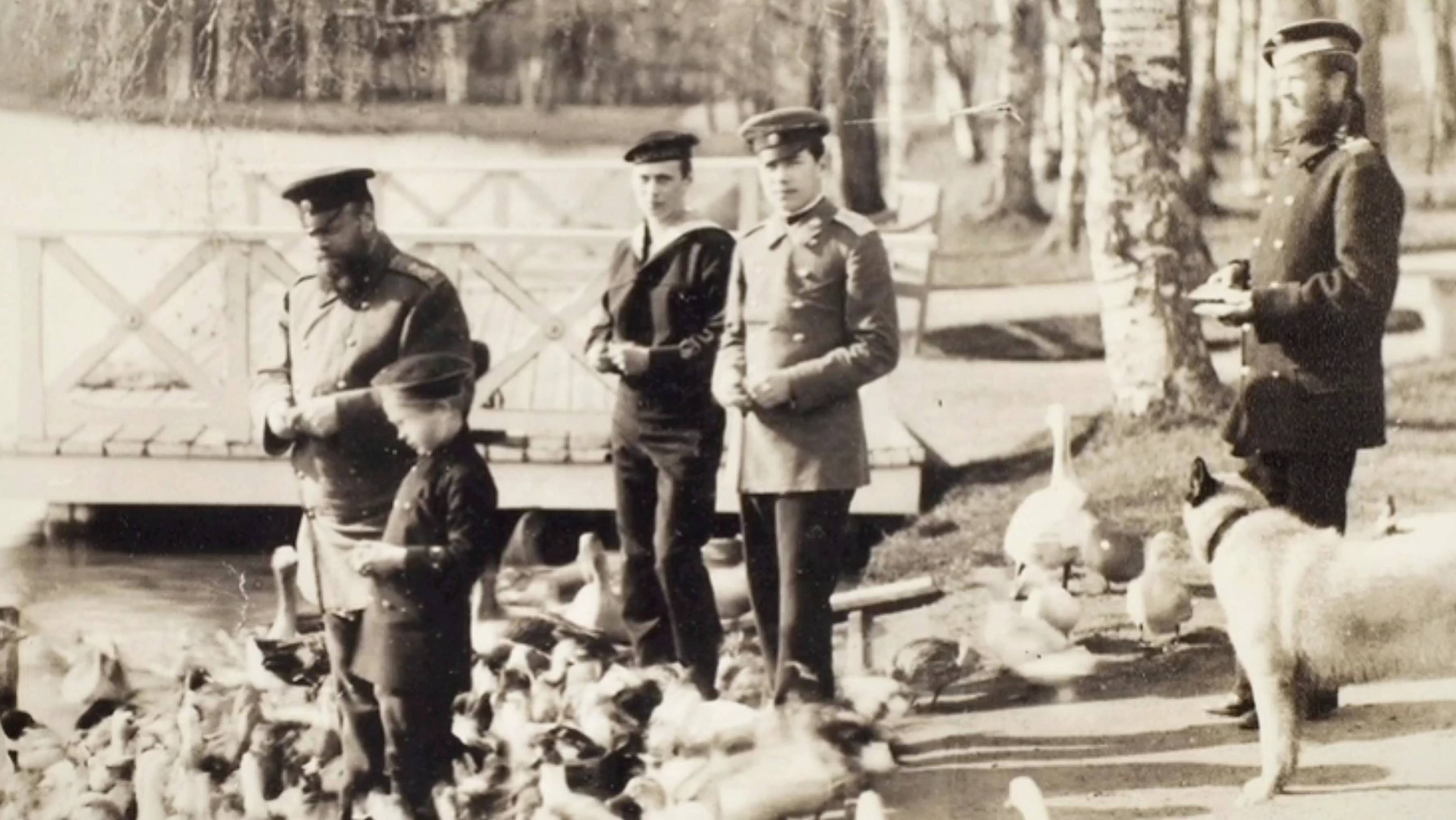 Старые фотографии Императорской семьи в парке гатчинского дворца и современное видео