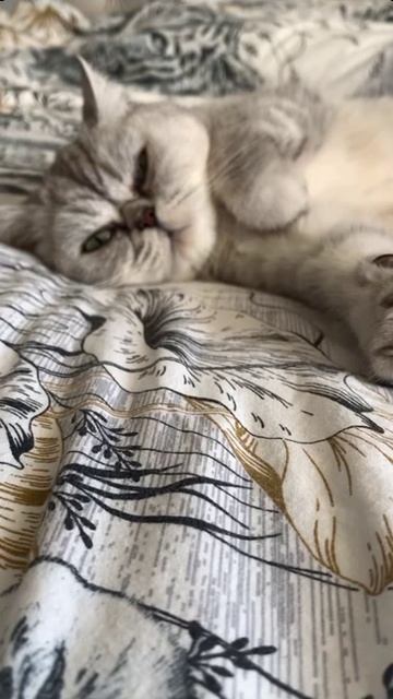 Воскресенье сегодня