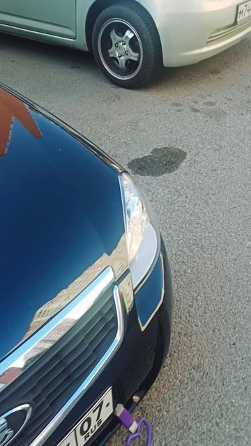 Отличная Пузотерка!