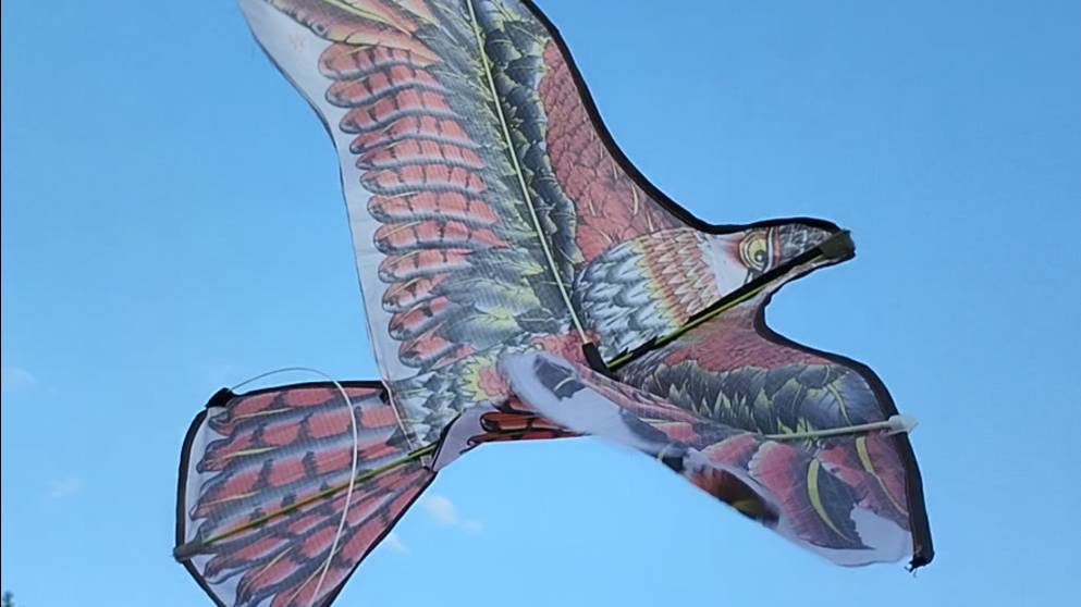 Света Маша и Серега