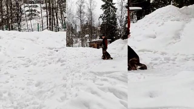 До/После. Отсутствует концентрация на работе