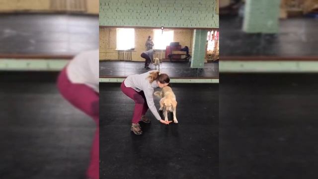 До/После. Выдержка и концентрация