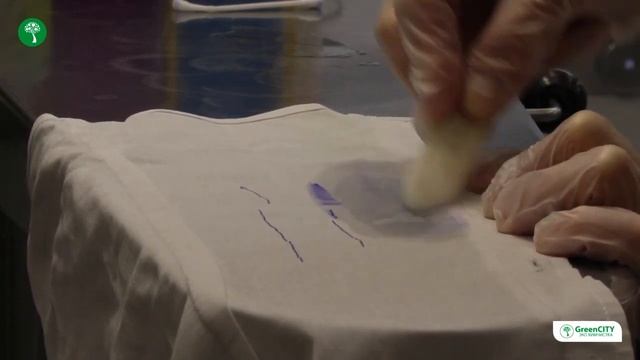 GreenCITY пятновыводка на белой рубашке