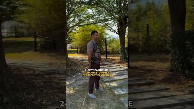 3 упражнения от зажима в шее и плечах