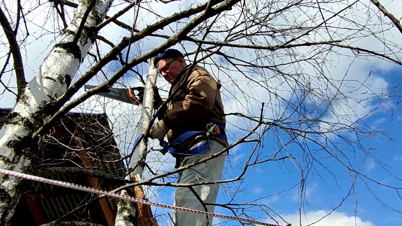 Архив 2023 г. Береза упала на баню, но так было задумано (почти). Весенние хлопоты в деревне.