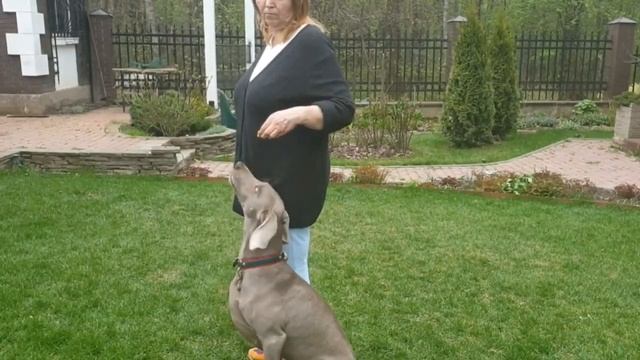 До/После. Основное положение