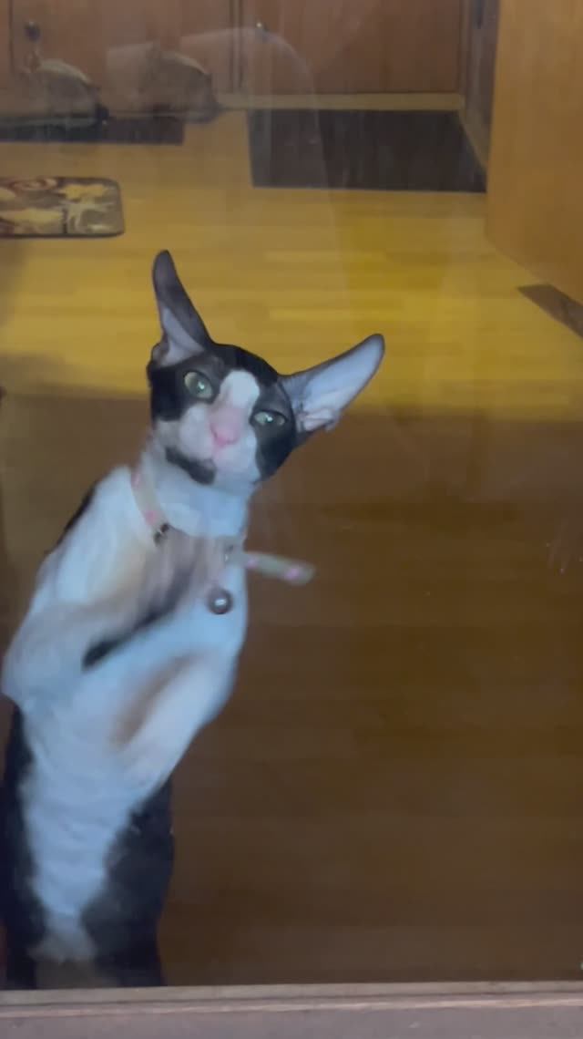 Когда наступило время помыть окна