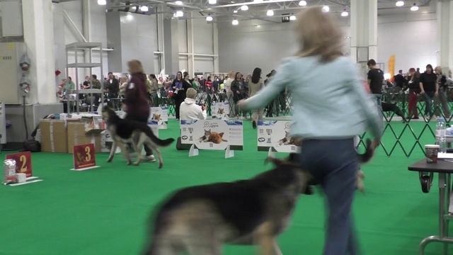 Сравнение на ЛЮ и ЛПП