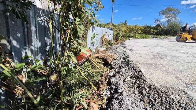 Трамбовка 07.09.2024