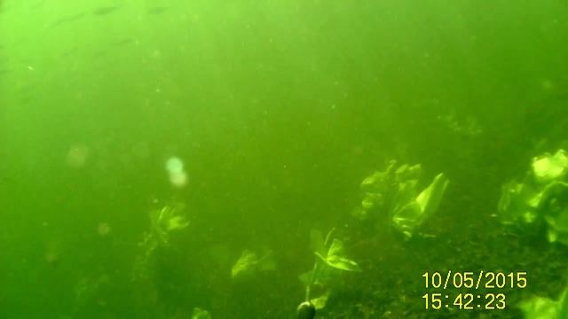 #ПодводнаяОхотаНаРекеСейм  15 выпуск