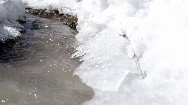 Запахло весной.